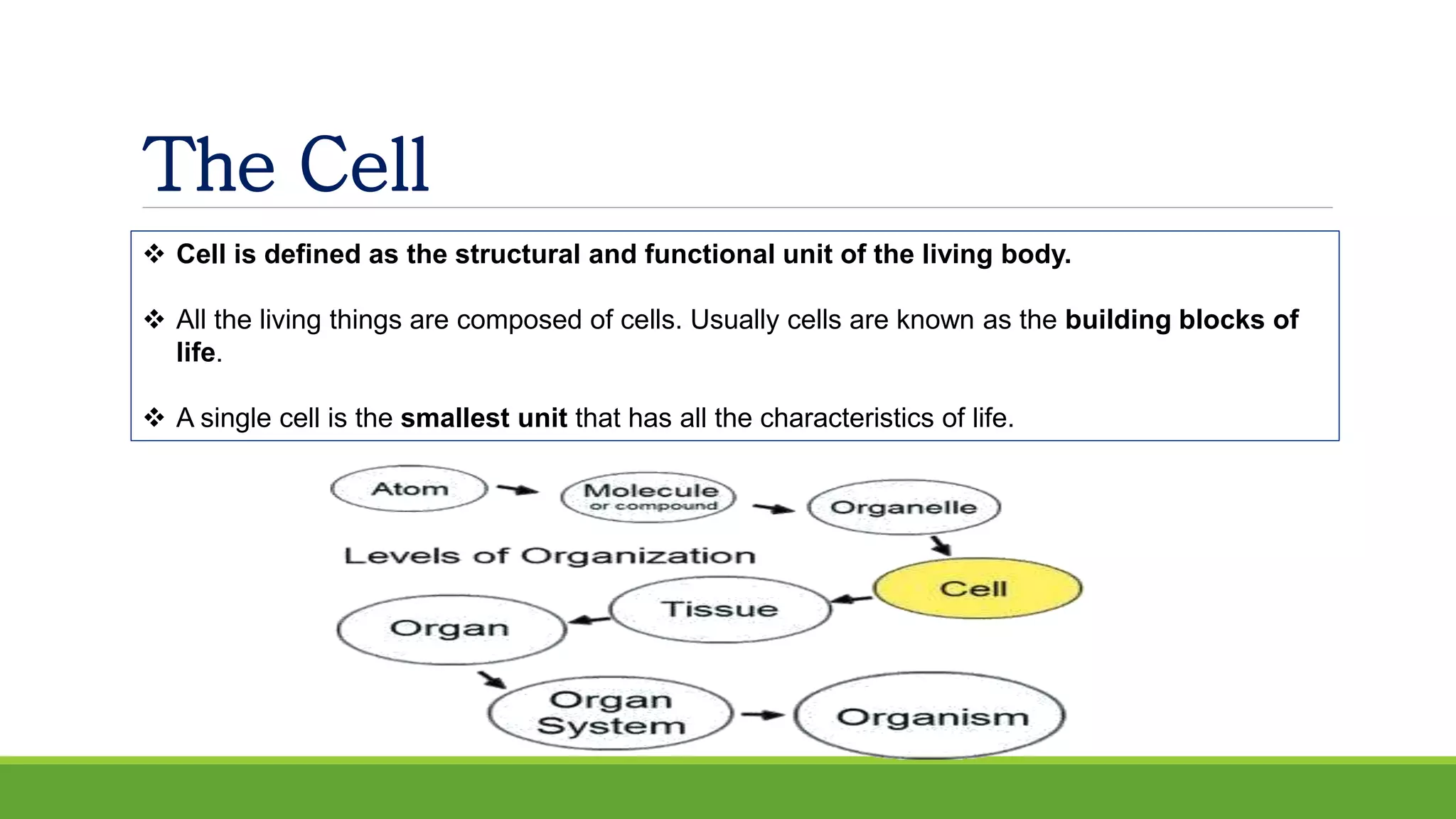 The cell its organells and their functions | PPTX