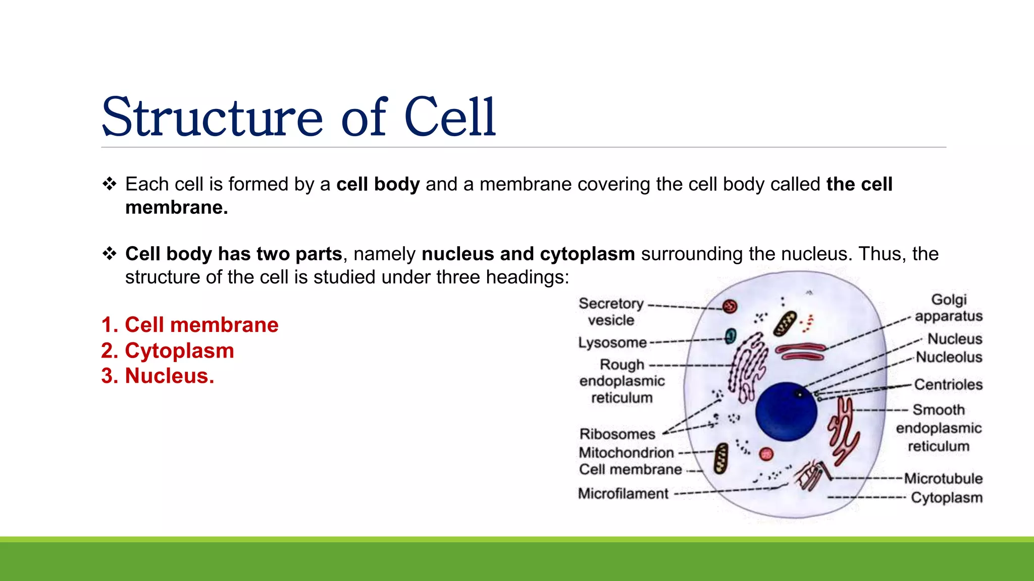The cell its organells and their functions | PPTX