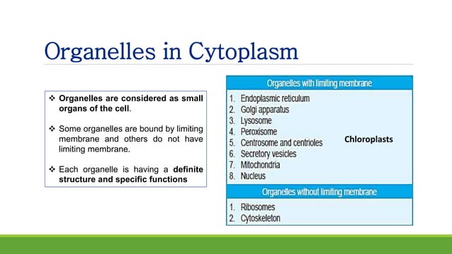 The cell its organells and their functions | PPTX