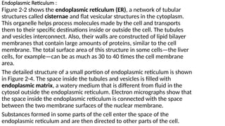 The Cell Lecture 2.pptx.................. | PPTX