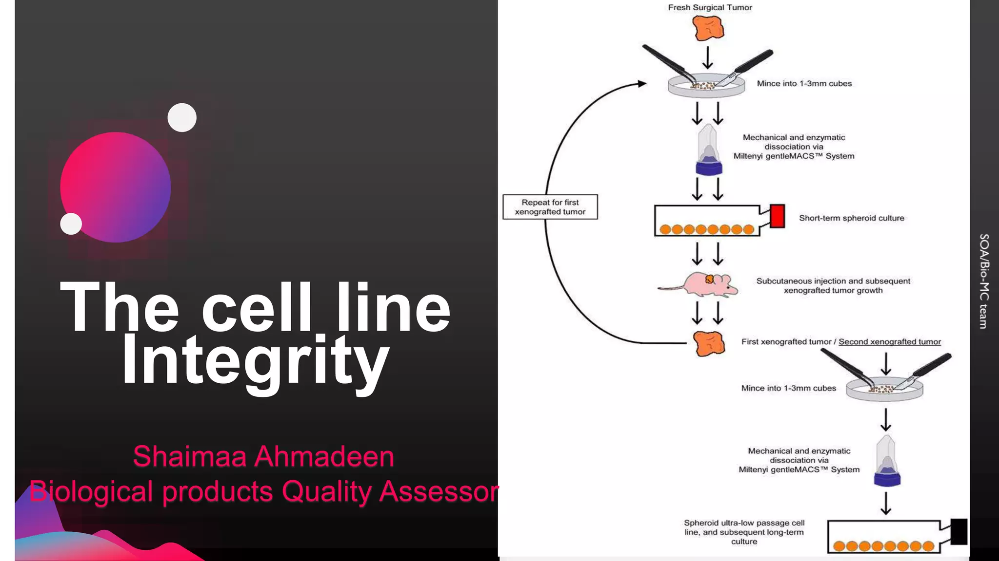 The cell line integrity | PPT