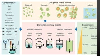 The cell line integrity | PPT