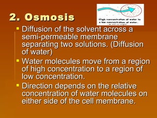 The Cell Membrane | PPT