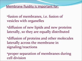 The cell membrane | PPT