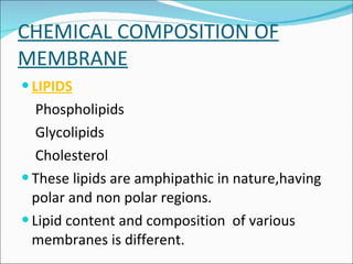 The cell membrane | PPT