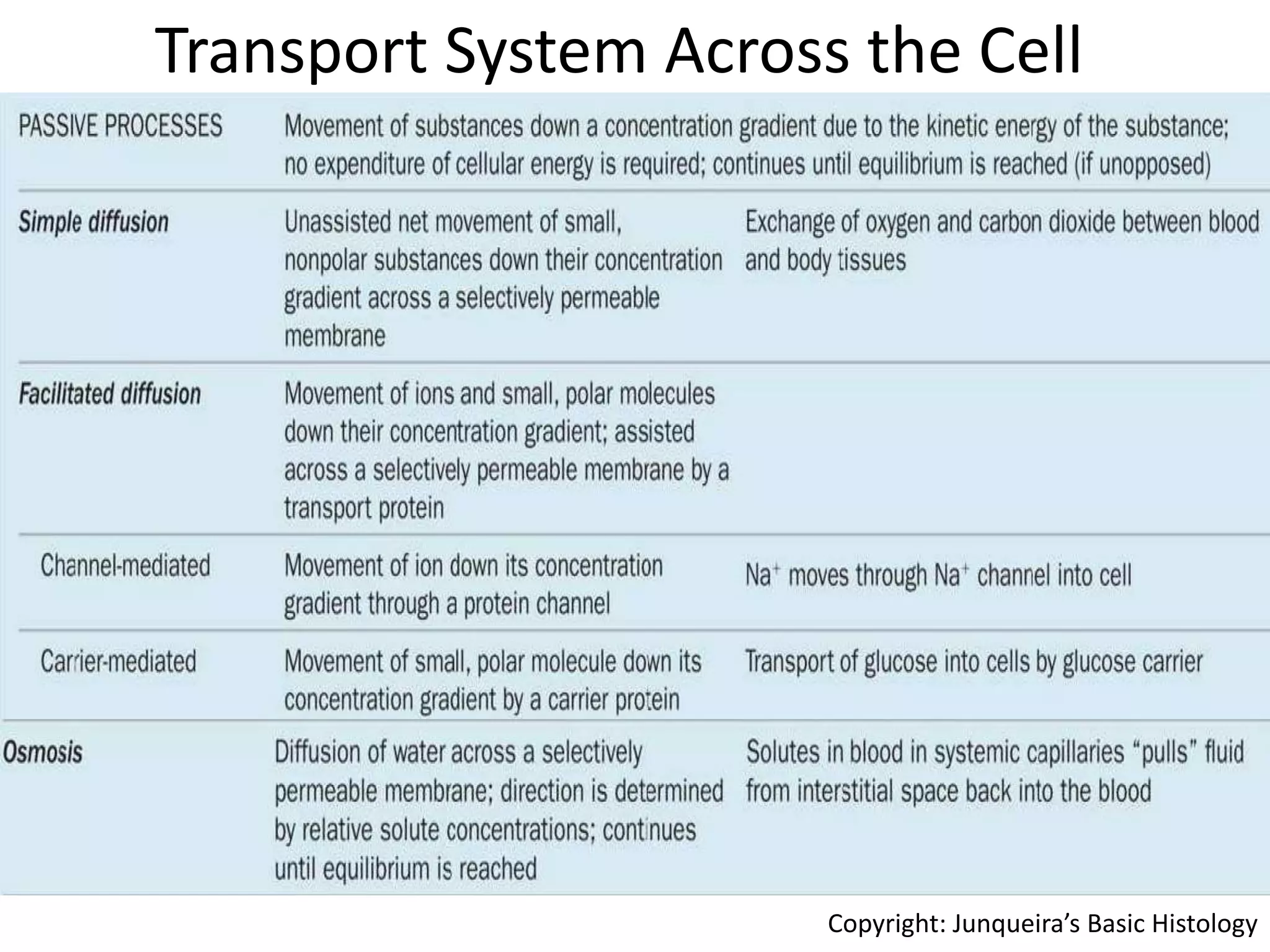 Histology Made Easy: The cell membrane; Semi permeable membrane; fluid ...