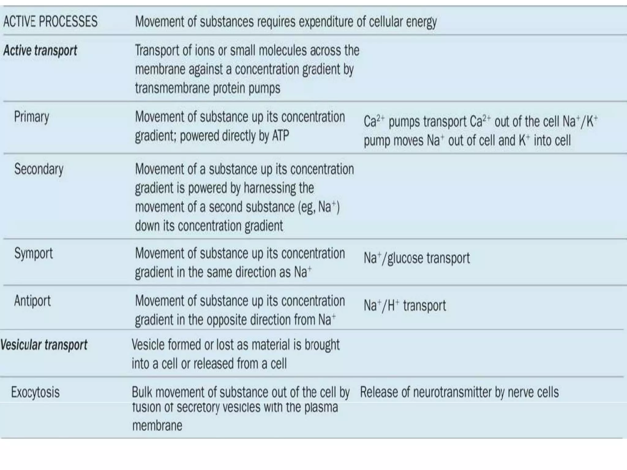 Histology Made Easy: The cell membrane; Semi permeable membrane; fluid ...