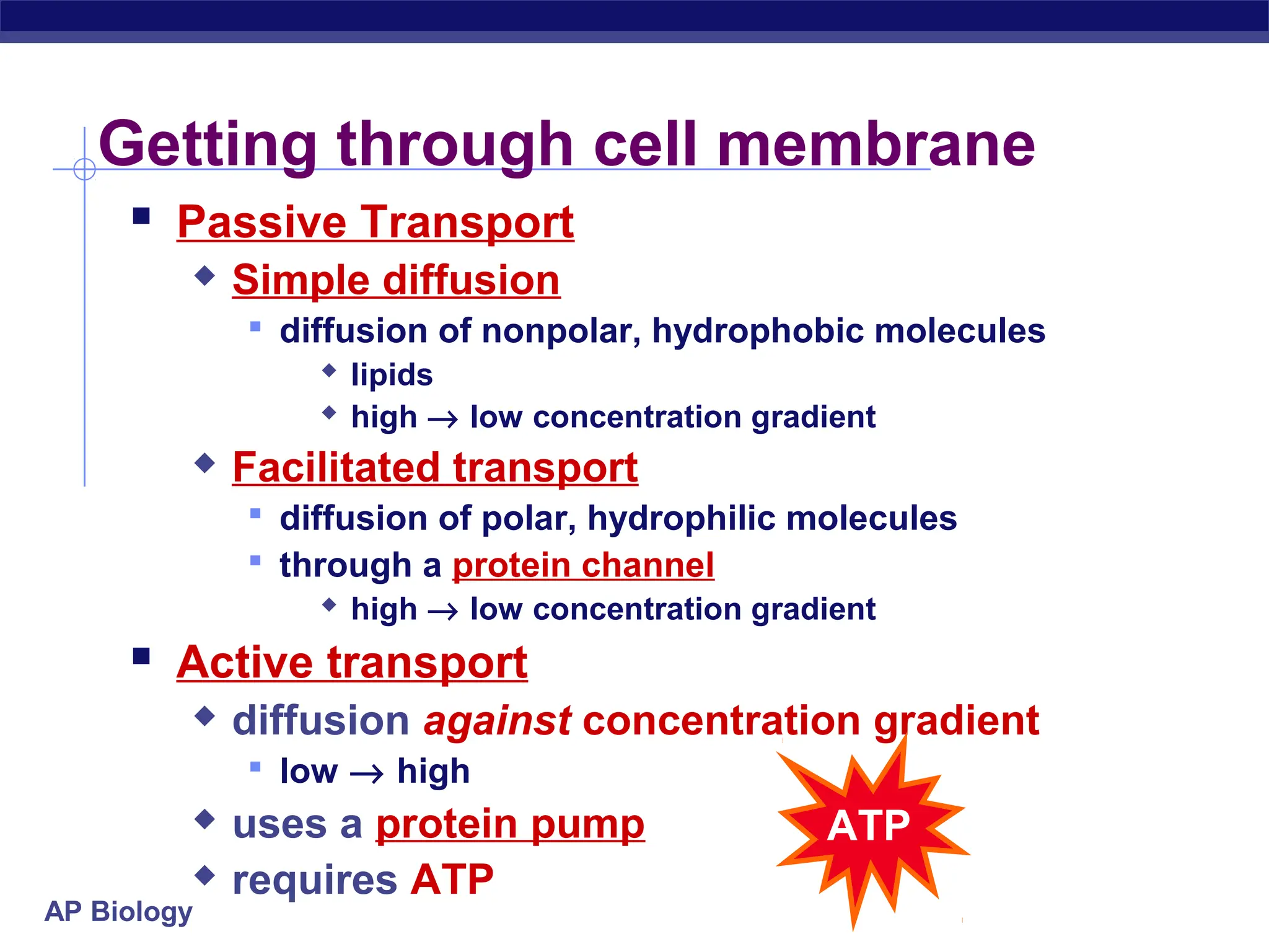 the cell membrane-structure and transportation.pdf
