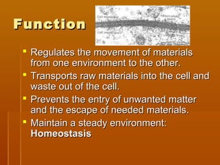Cell Membrane Function