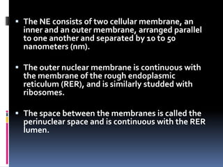 The cell nucleus | PPTX