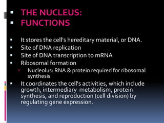 The cell nucleus | PPTX