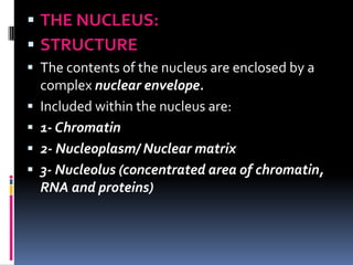The cell nucleus | PPTX