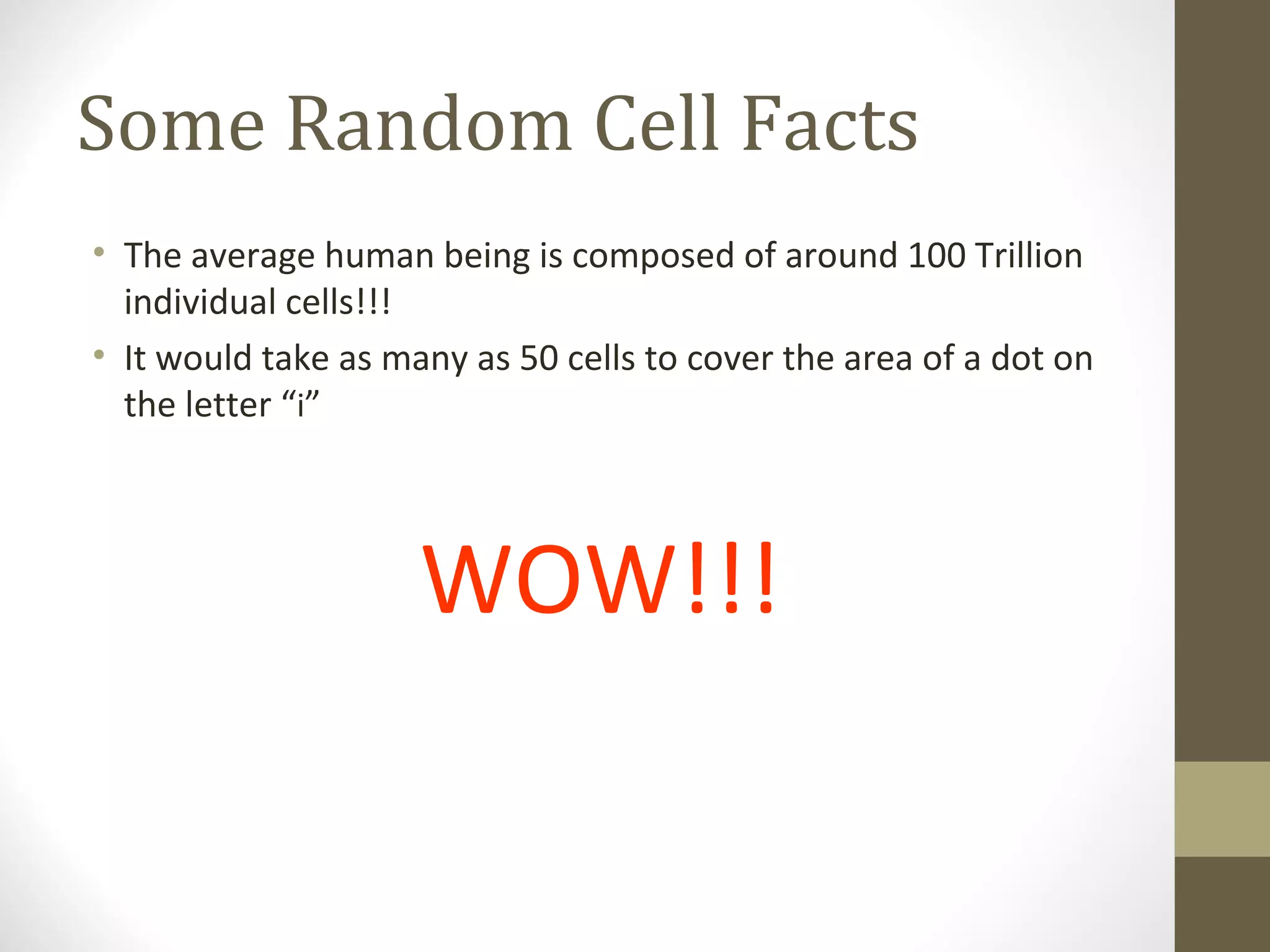 The cell theory | PPT