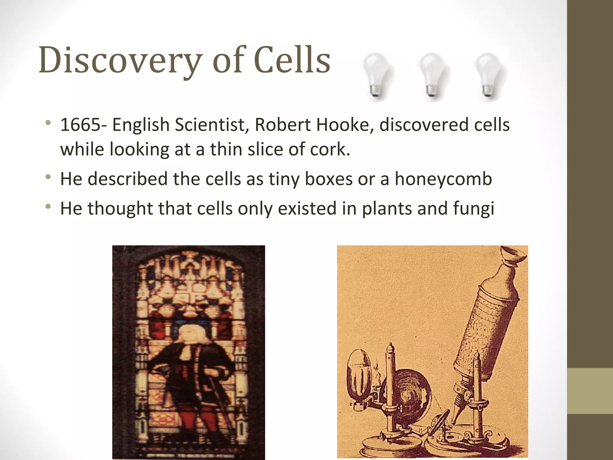The cell theory | PPT