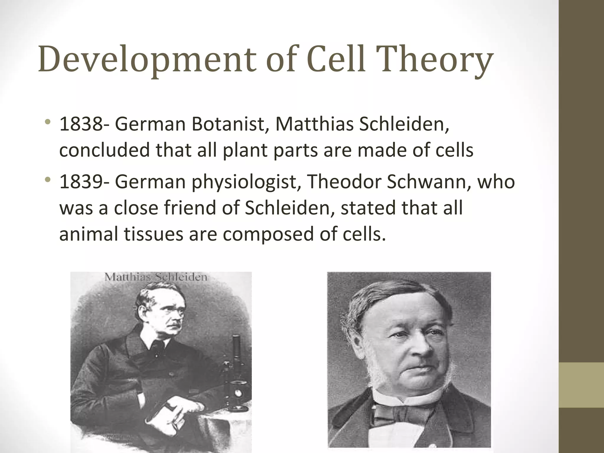 The cell theory | PPT