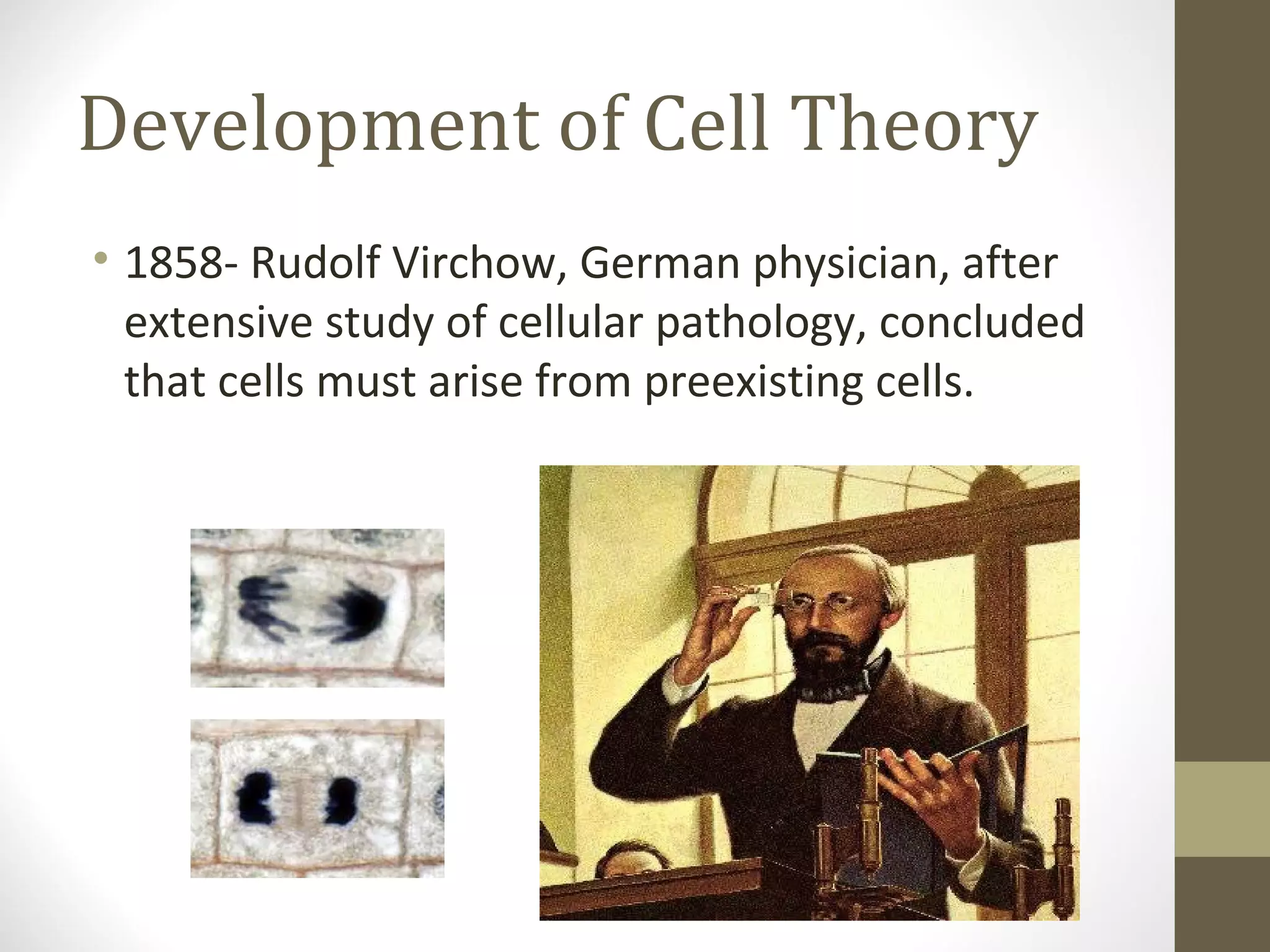 The cell theory | PPT
