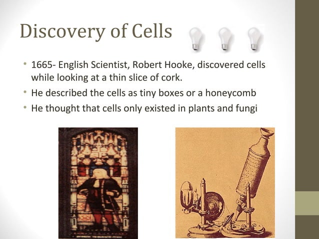 The cell theory | PPT