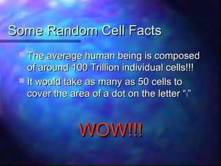 The cell theory | PPT