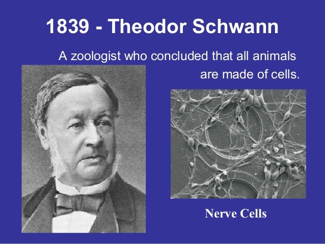 The cell theory
