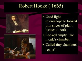 The Cell Theory Timeline | PPTX