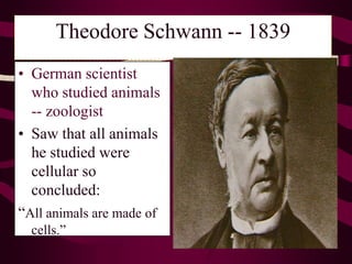 Cell Theory Timeline Powerpoint