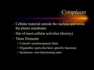 The Cellular Basis of Life.ppt