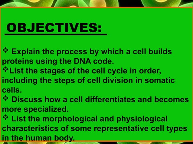 tTHE CELLULAR LEVEL OF ORGANIZATION.pptx