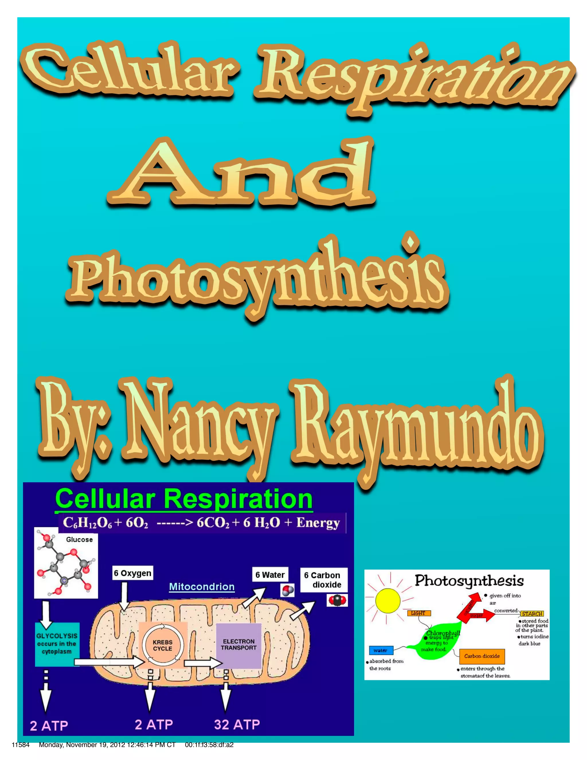 The cellular respiration system and photosynthesis | PDF