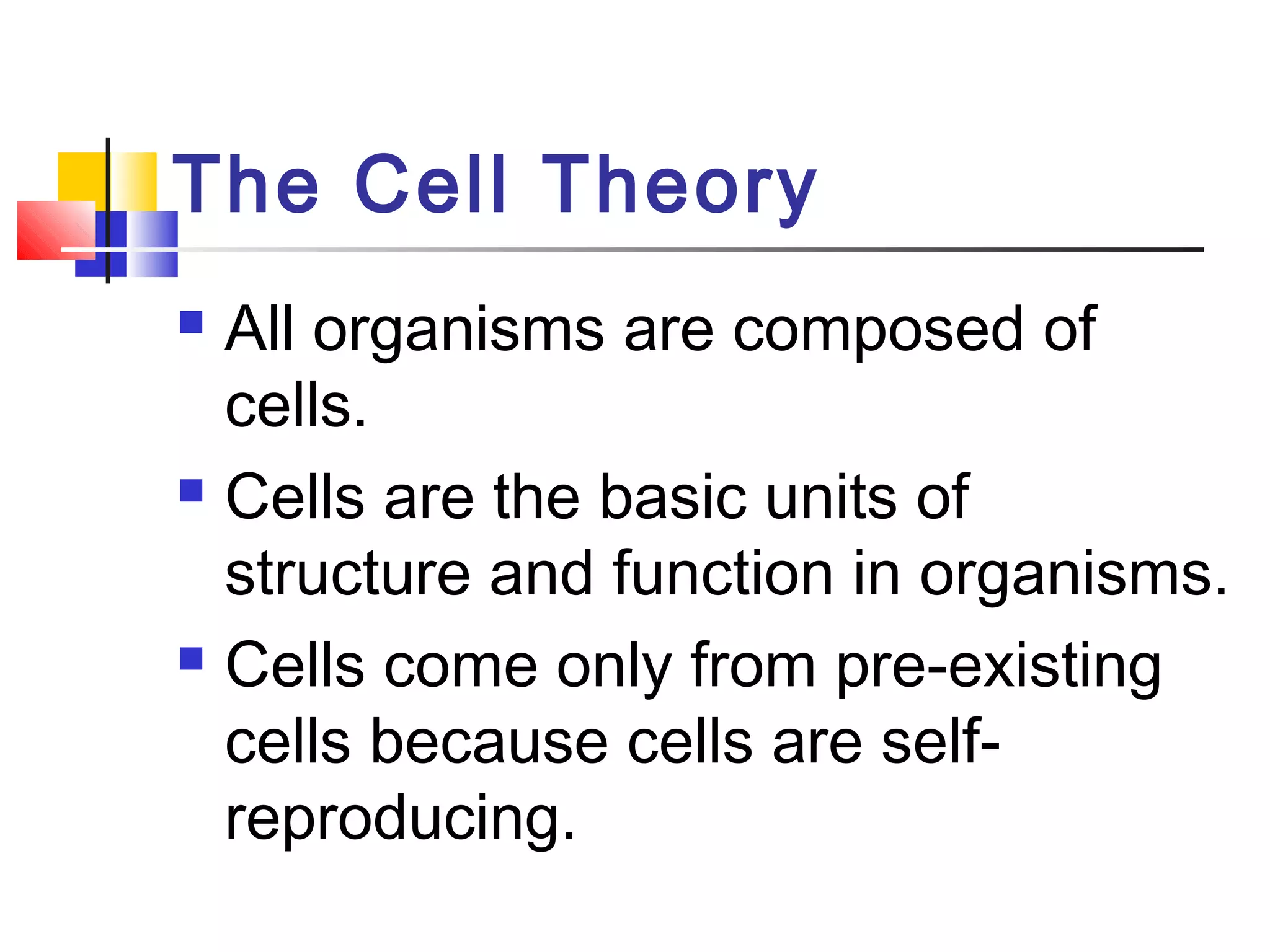 The Cell (PPT from Mrs. Brenda Lee) | PPT