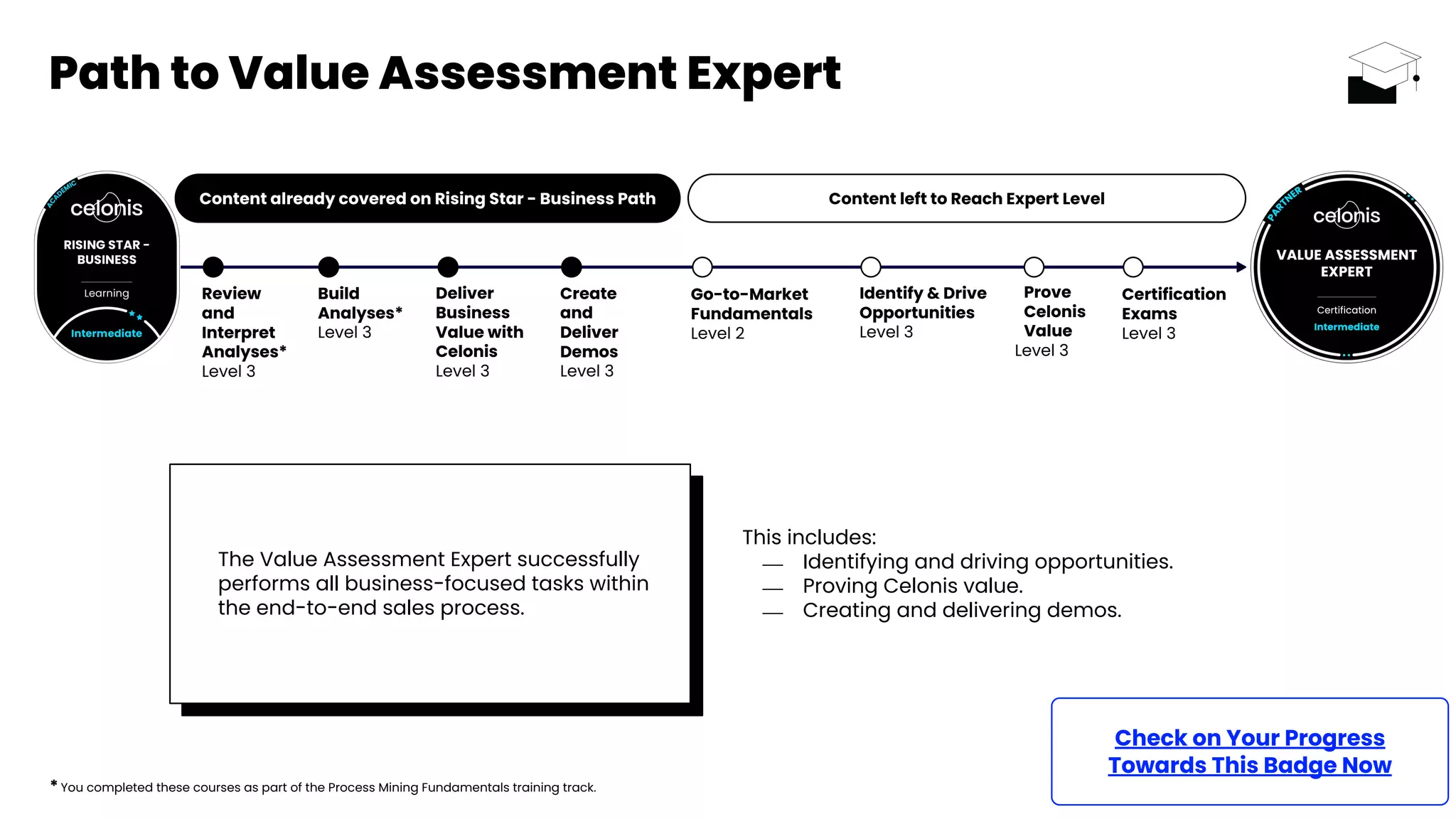 The_Celonis_Rising_Stars_Program_Overview.pdf