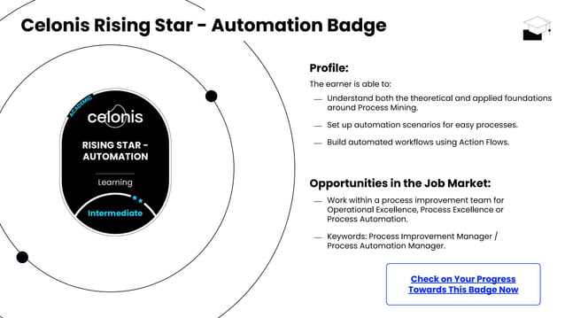 The_Celonis_Rising_Stars_Program_Overview.pdf