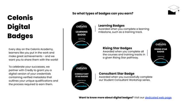 The_Celonis_Rising_Stars_Program_Overview.pdf