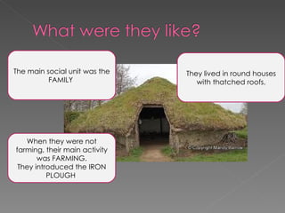The celts | PPT