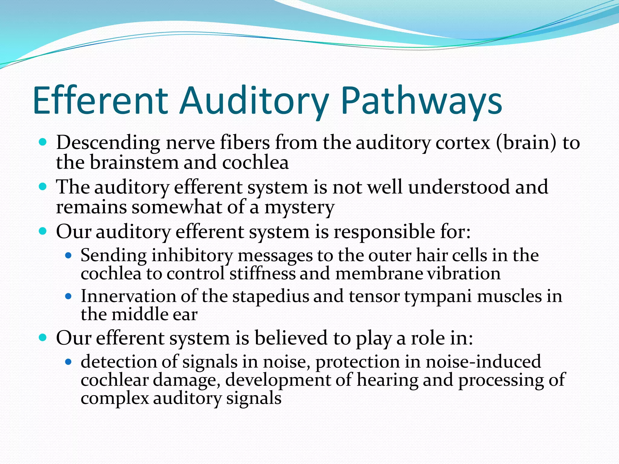 The central auditory system | PPTX