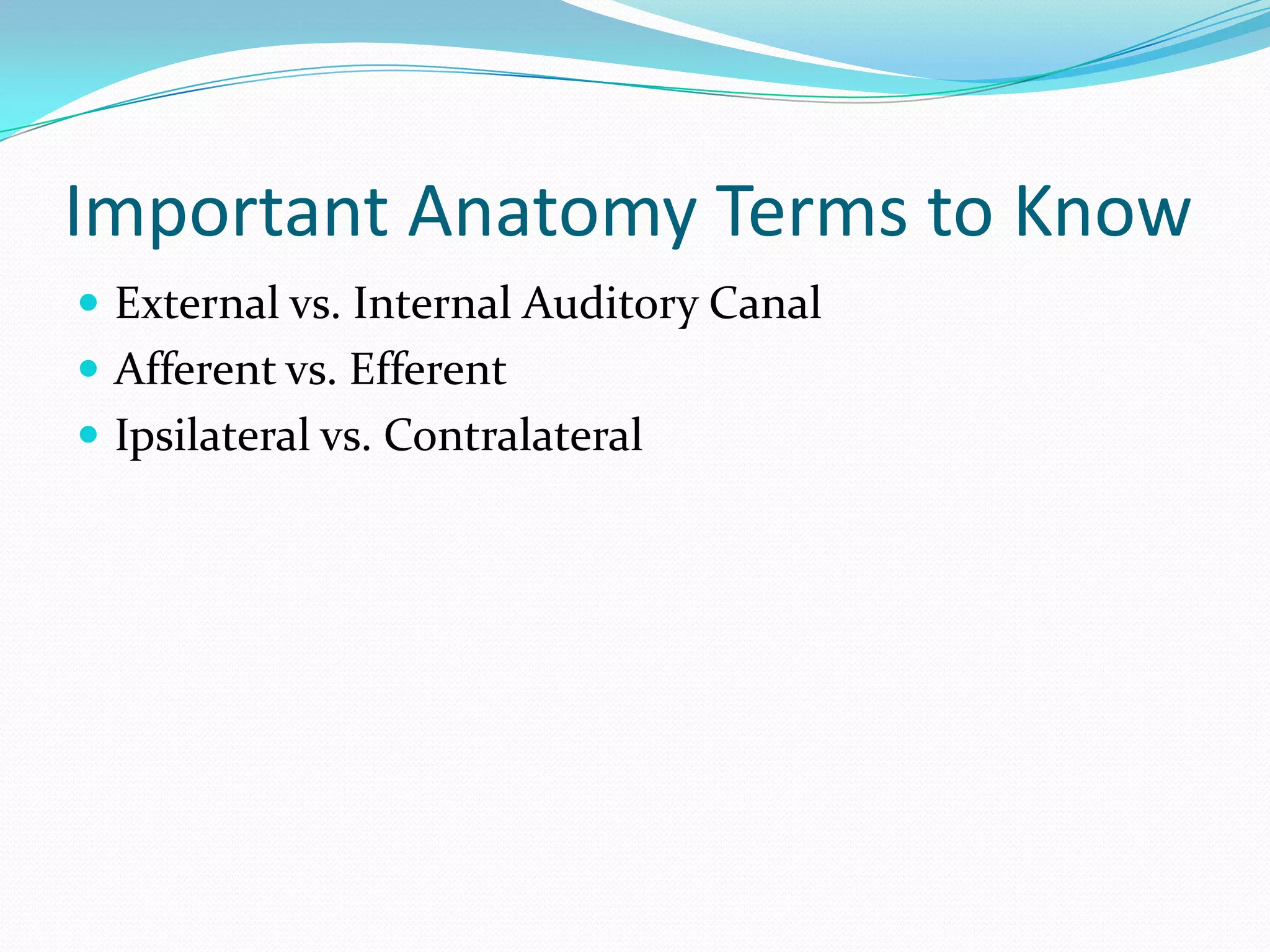 The central auditory system | PPTX