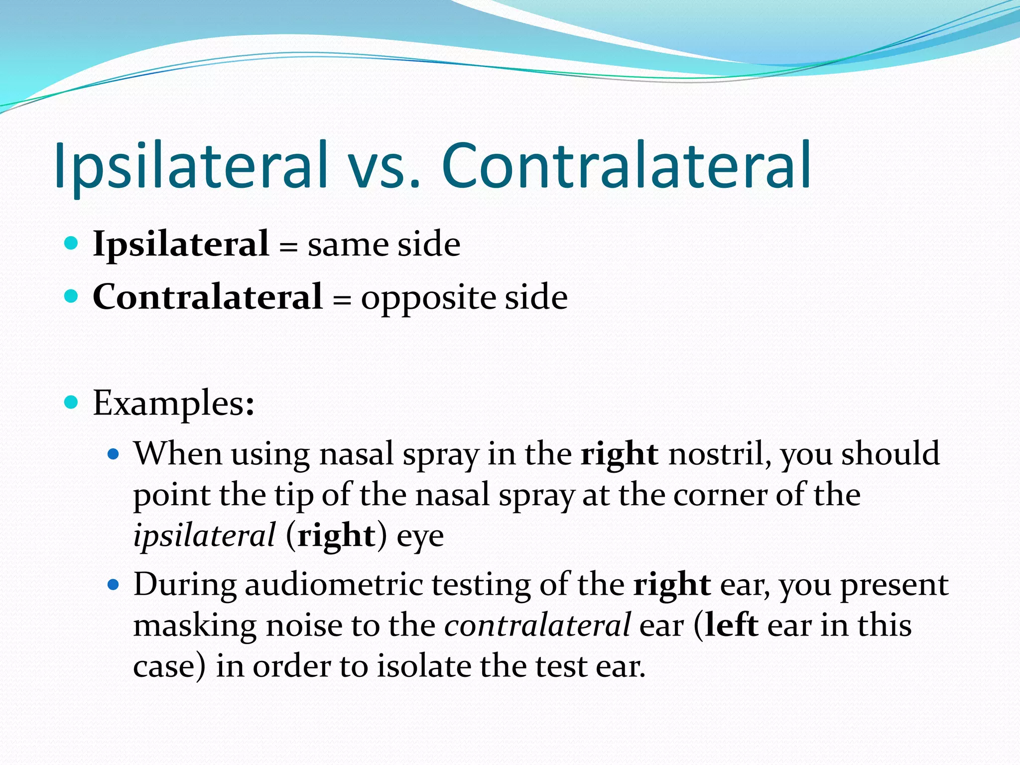 The central auditory system | PPTX