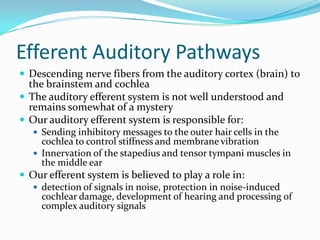 The central auditory system | PPTX