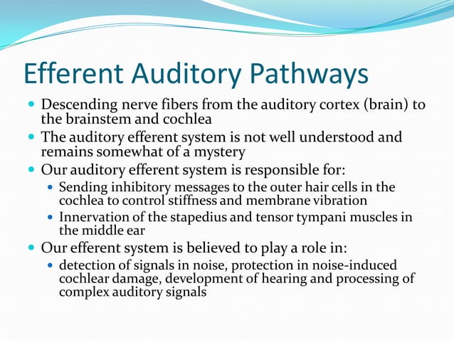 The central auditory system | PPTX