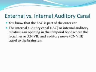 The central auditory system | PPTX
