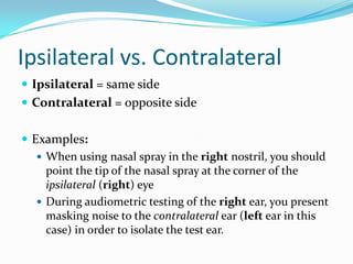 The central auditory system | PPTX