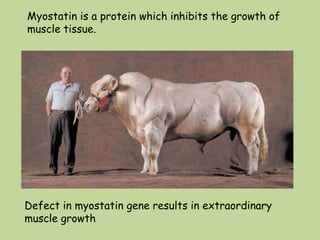 The central dogma | PPTX