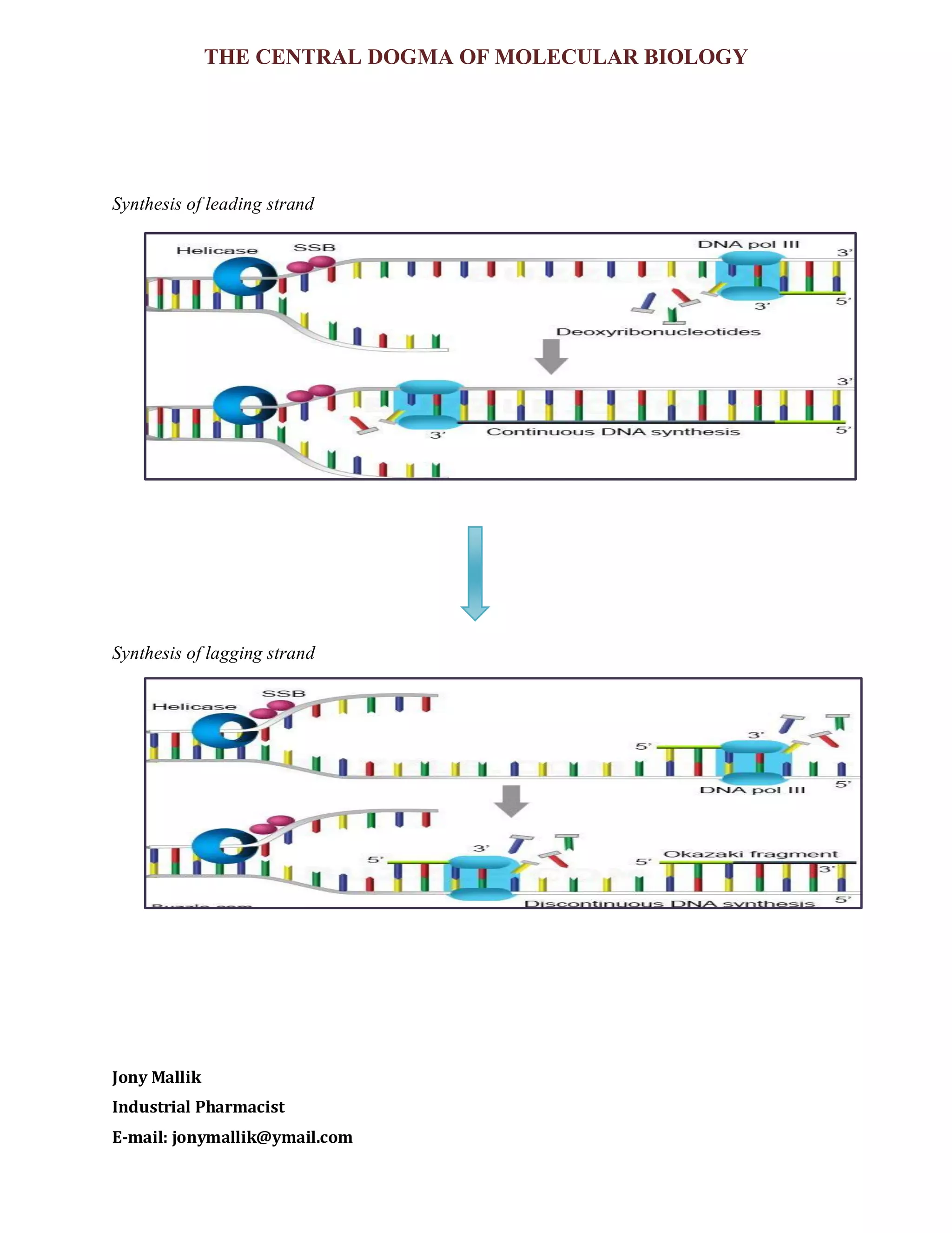 The central dogma of molecular biology | PDF