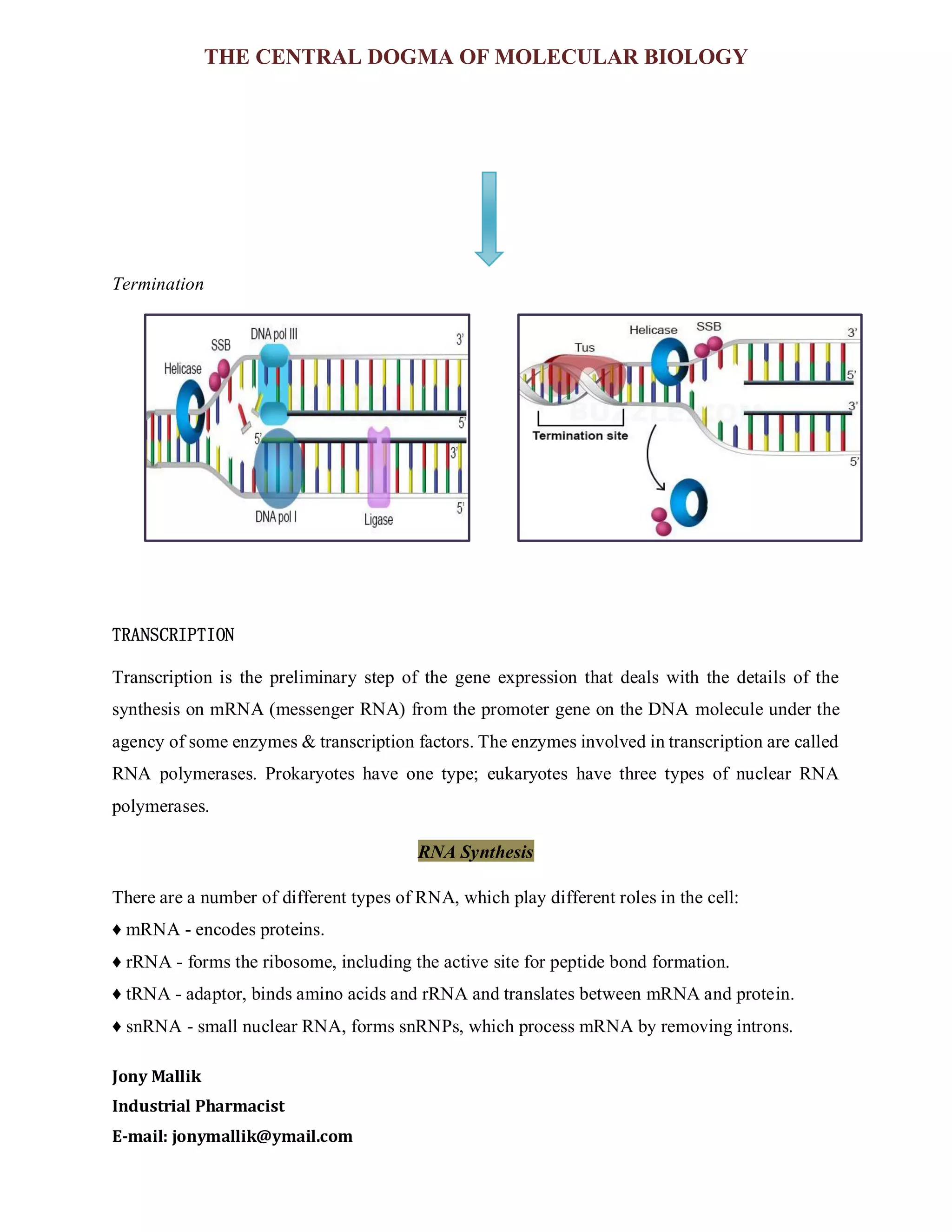 The central dogma of molecular biology | PDF