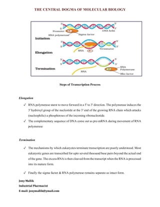 The central dogma of molecular biology | PDF