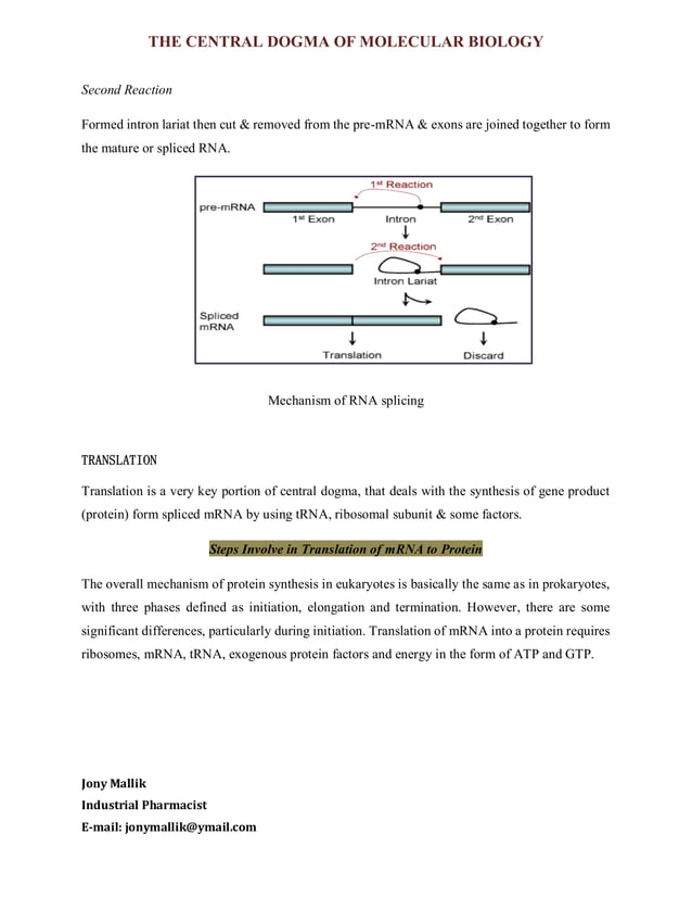 The central dogma of molecular biology | PDF