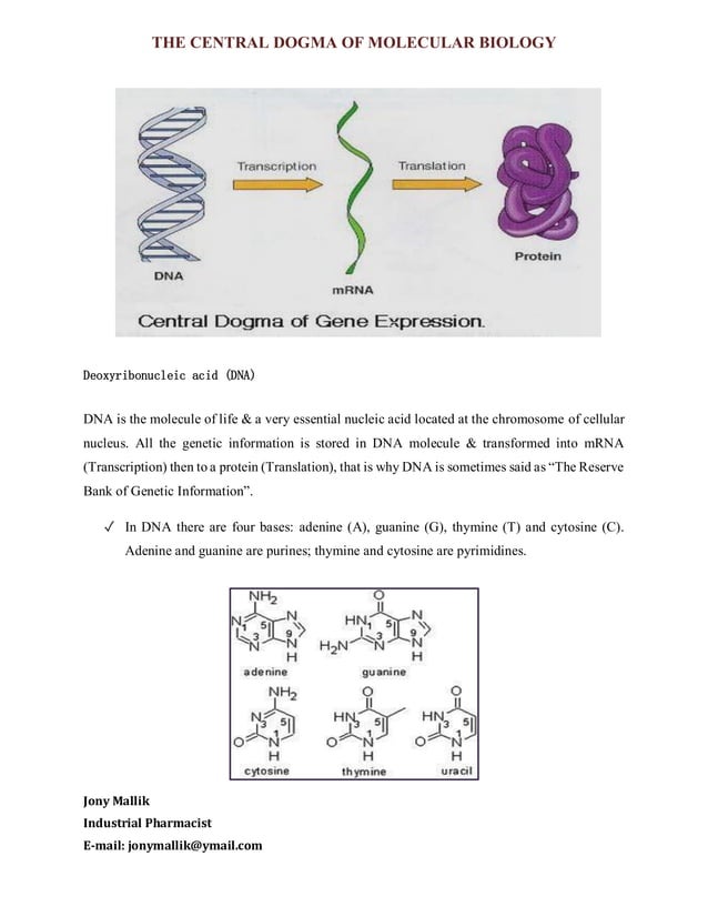 The central dogma of molecular biology | PDF