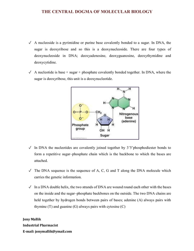 The central dogma of molecular biology | PDF