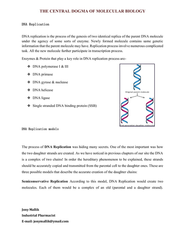 The central dogma of molecular biology | PDF