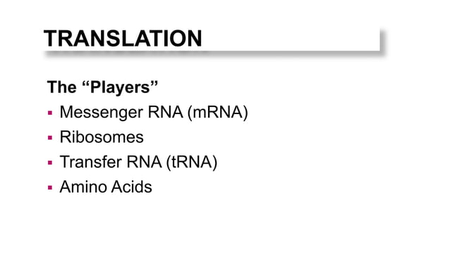 The Central Dogma: An Introduction | PPTX | Programming Languages | Computing