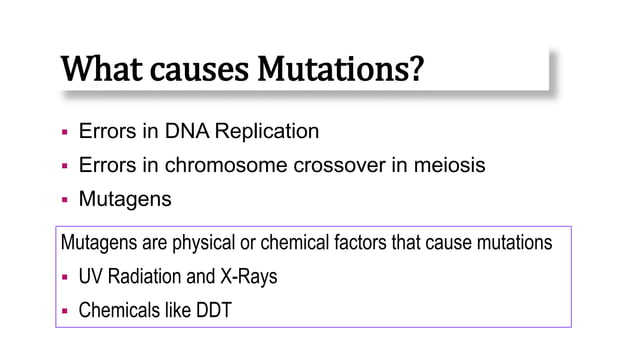 The Central Dogma: An Introduction | PPTX | Programming Languages | Computing